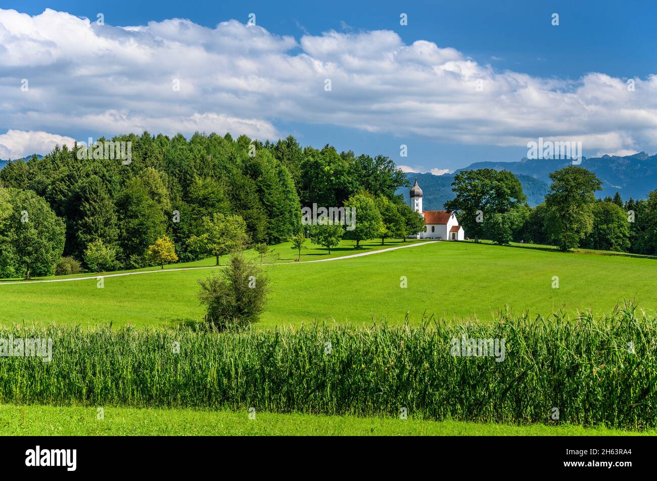 germany,bavaria,upper bavaria,pfaffenwinkel,penzberg,landscape at the ...