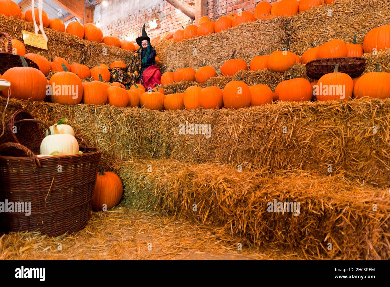 Lower barn farm hi-res stock photography and images - Alamy