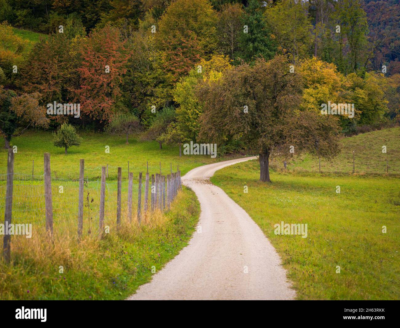 Autumn path in woods country hi-res stock photography and images - Alamy