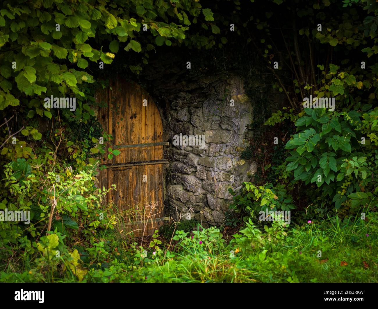 hidden door behind bushes Stock Photo - Alamy
