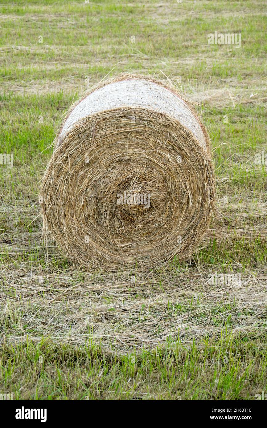 Field and haybales hi-res stock photography and images - Alamy