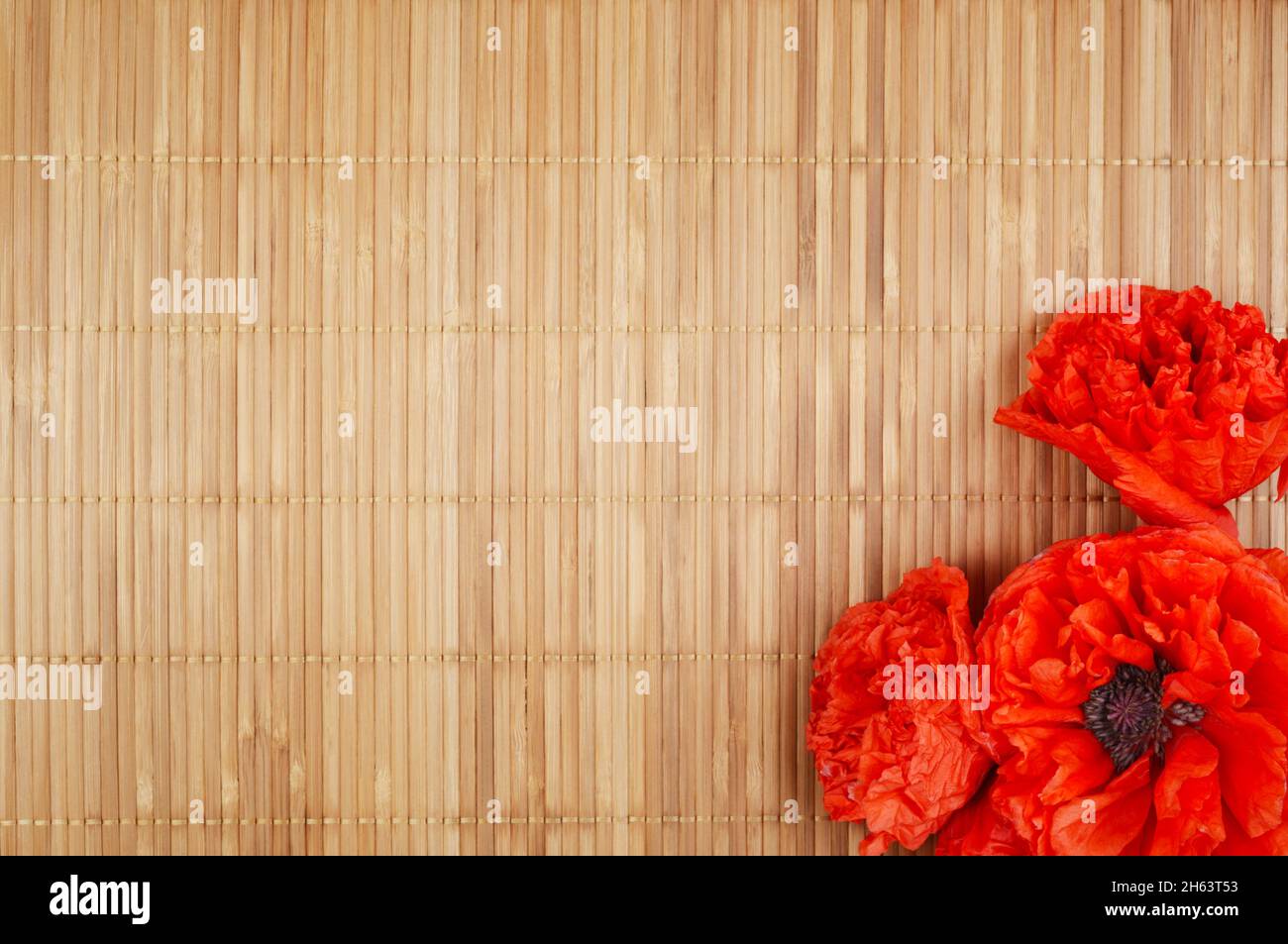 Red peony poppy papaver on a brouwn background . Border floral design ...