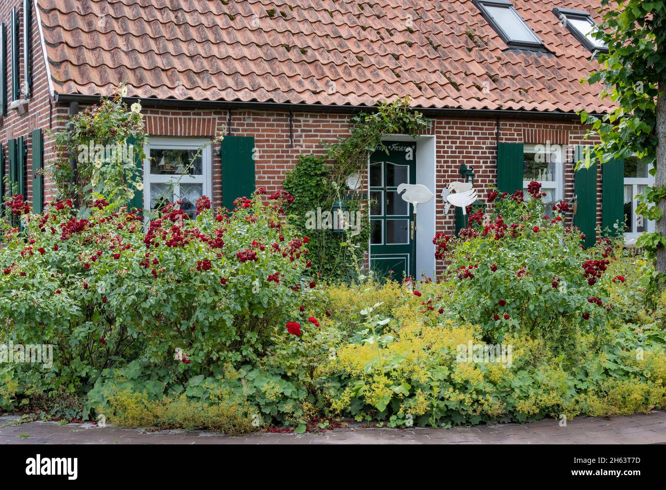 germany,lower saxony,east frisia,krummhörn,pilsum a village of the east ...
