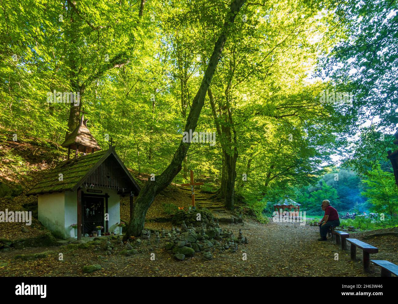Forest Chapel High Resolution Stock Photography and Images - Alamy