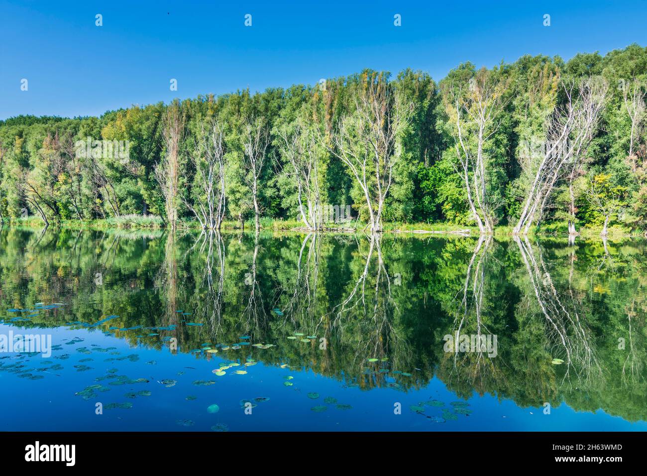 Mosoni hi-res stock photography and images - Alamy