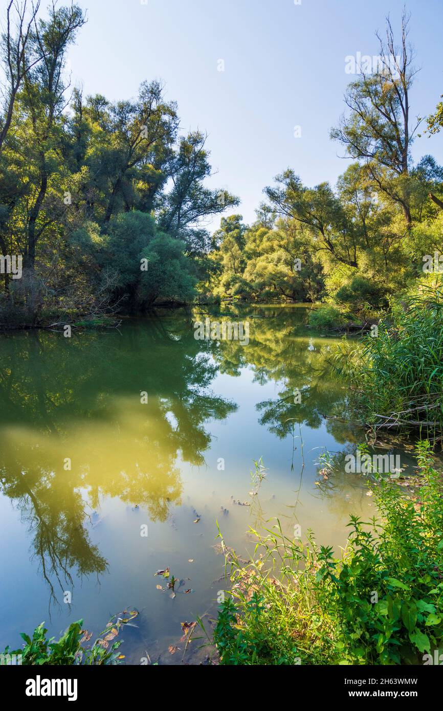Zitny ostrov great rye island hi-res stock photography and images - Alamy