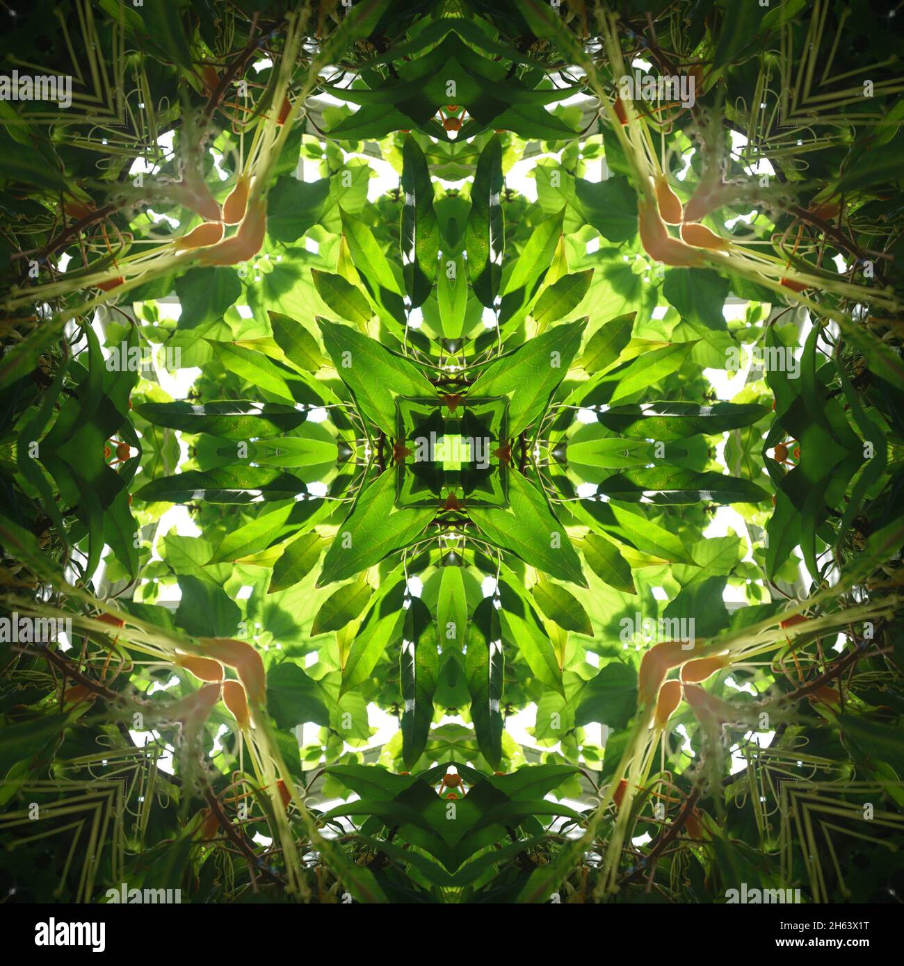Mandala roof hi-res stock photography and images - Alamy