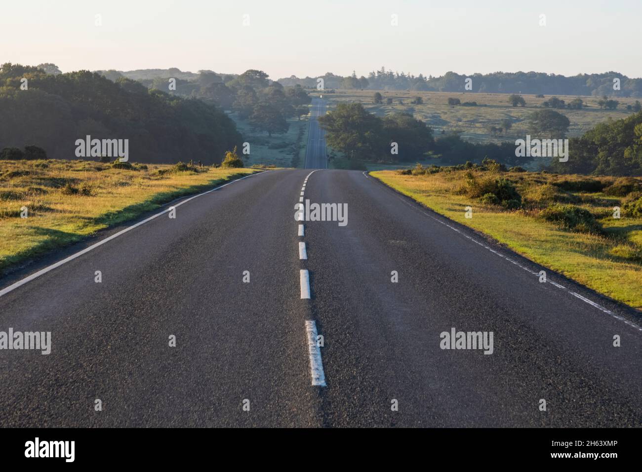 england,hampshire,the new forest,empty road Stock Photo - Alamy