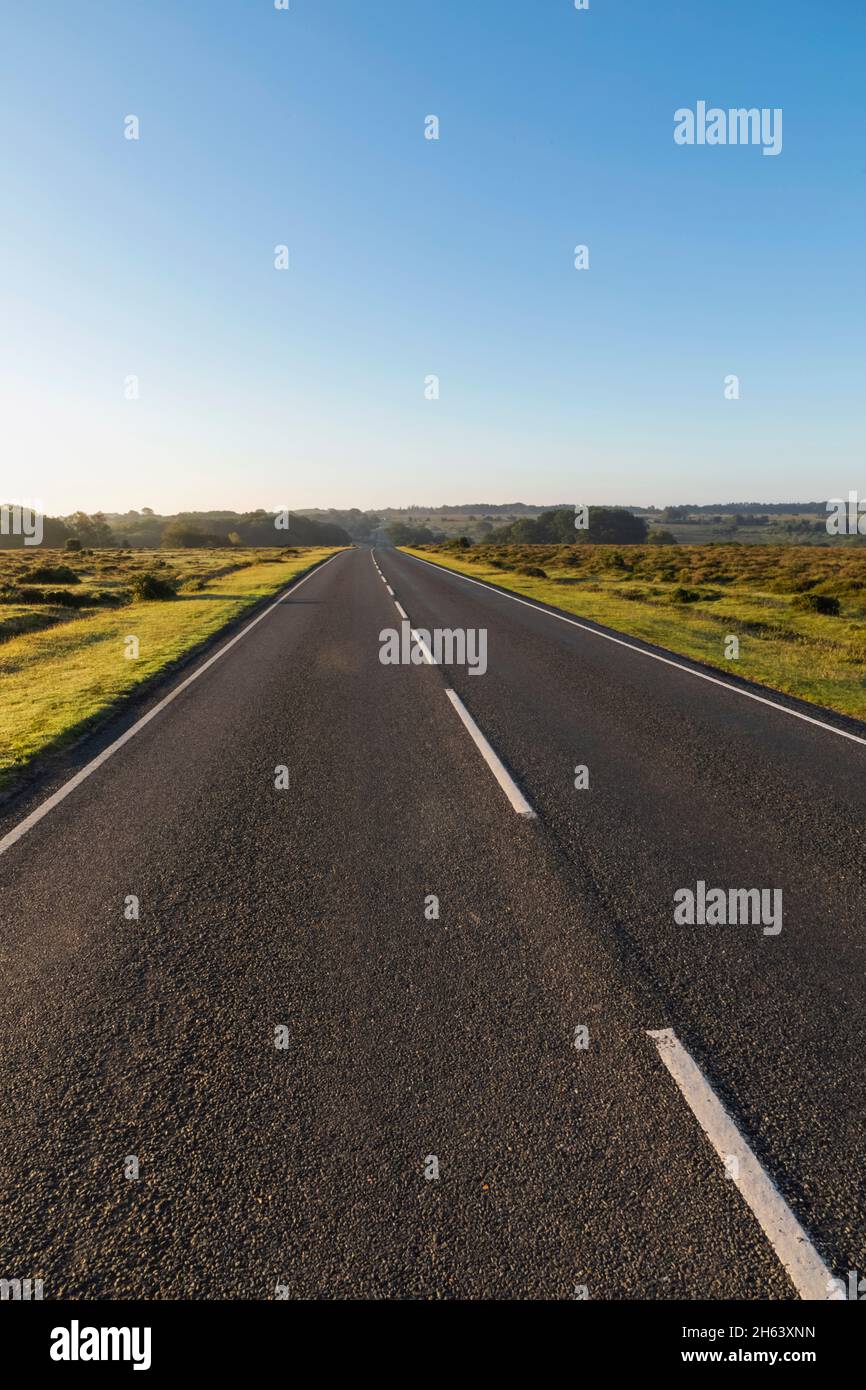 england,hampshire,the new forest,empty road Stock Photo - Alamy