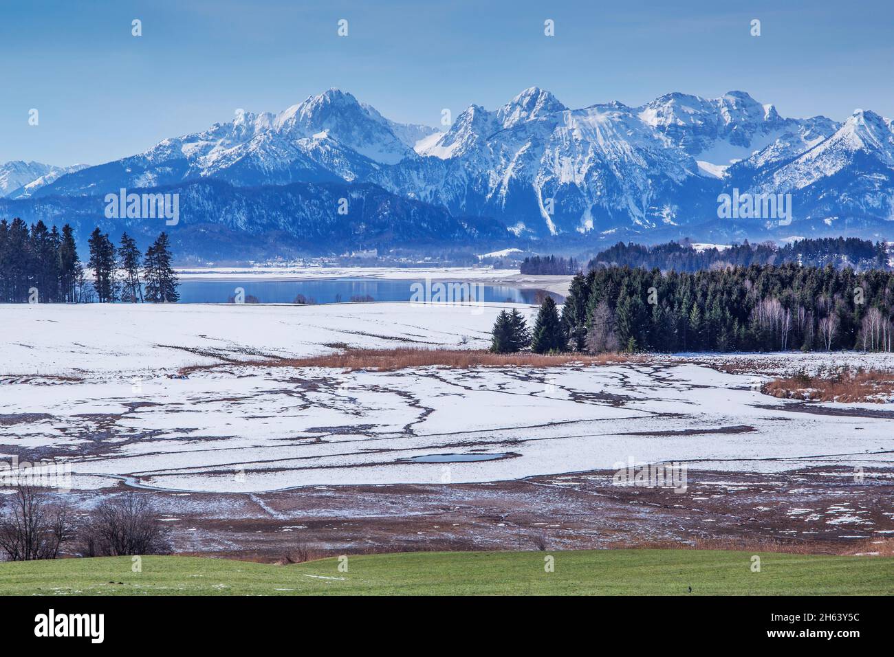 winter landscape with side arm from forggensee towards tannheimer berge ...