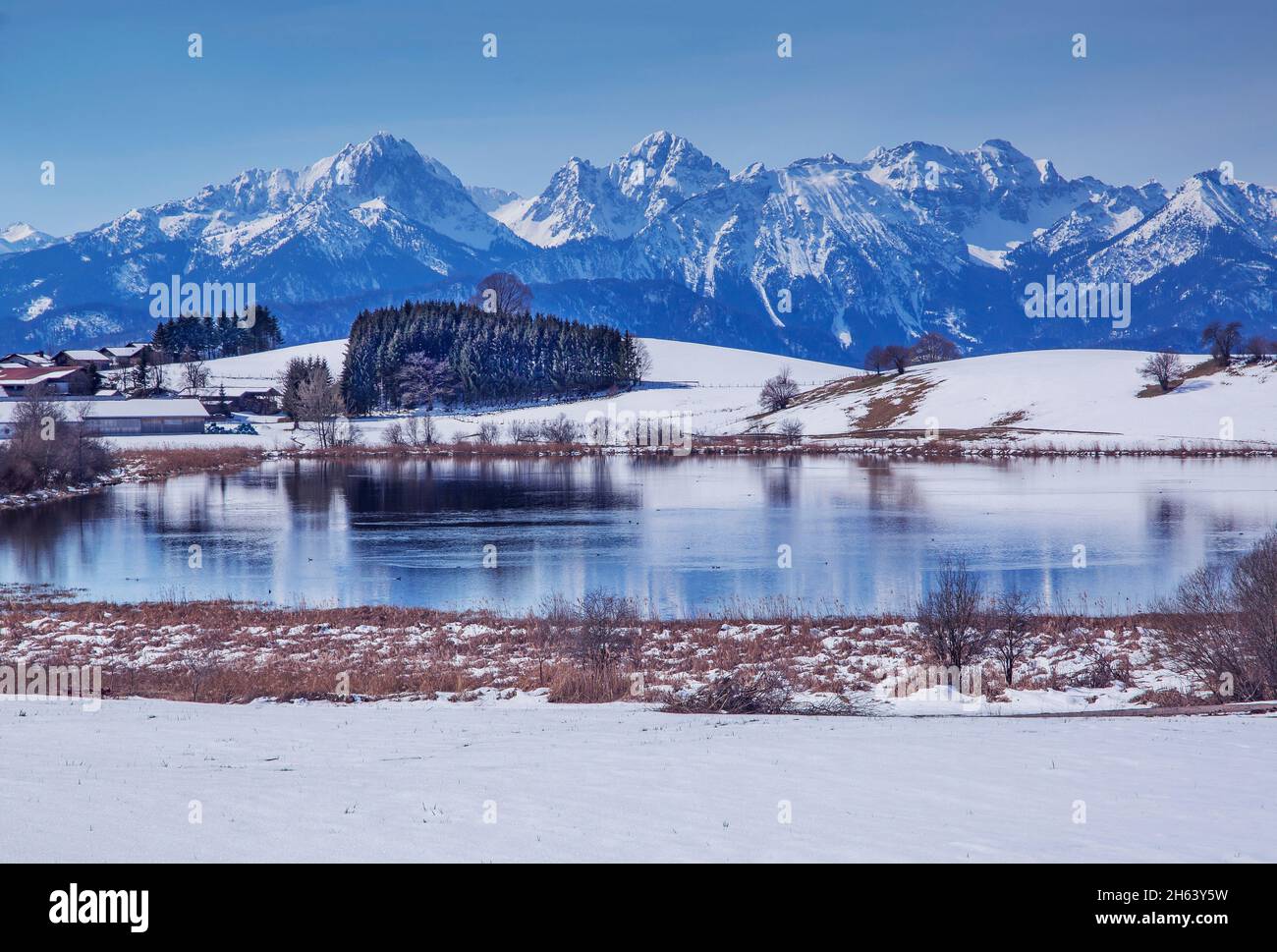 winter landscape with side arm from forggensee towards tannheimer berge ...