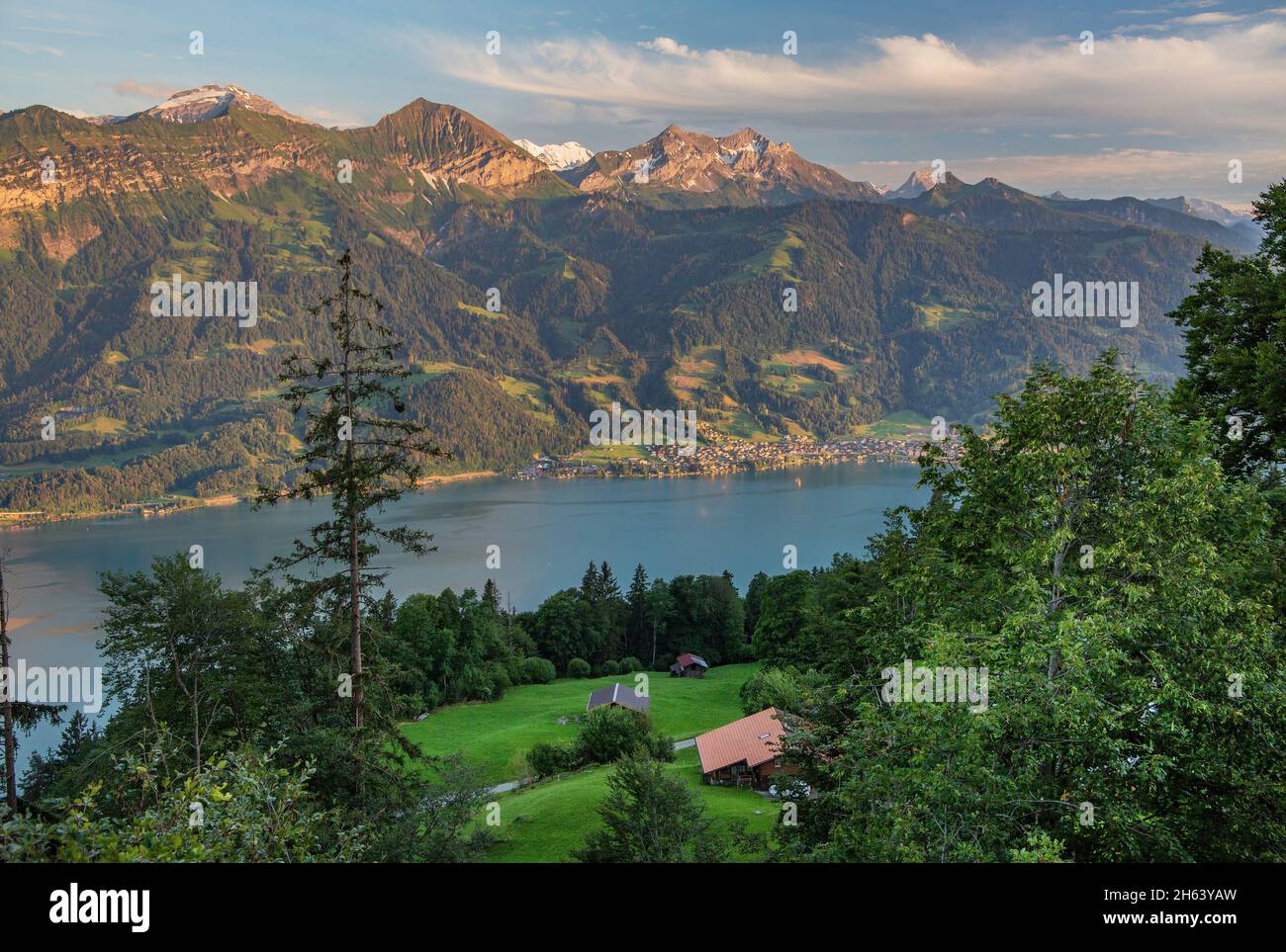 mountain hut with a view of lake thun in the evening sun,beatenberg ...