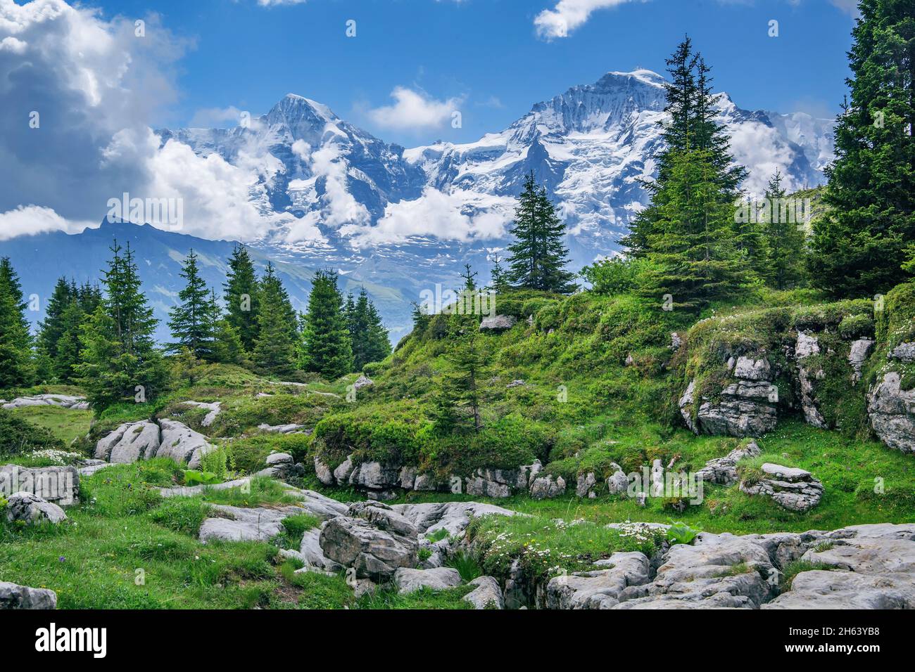 mönch 4107m and jungfrau 4158m from the hiking trail to lobhornhütte ...