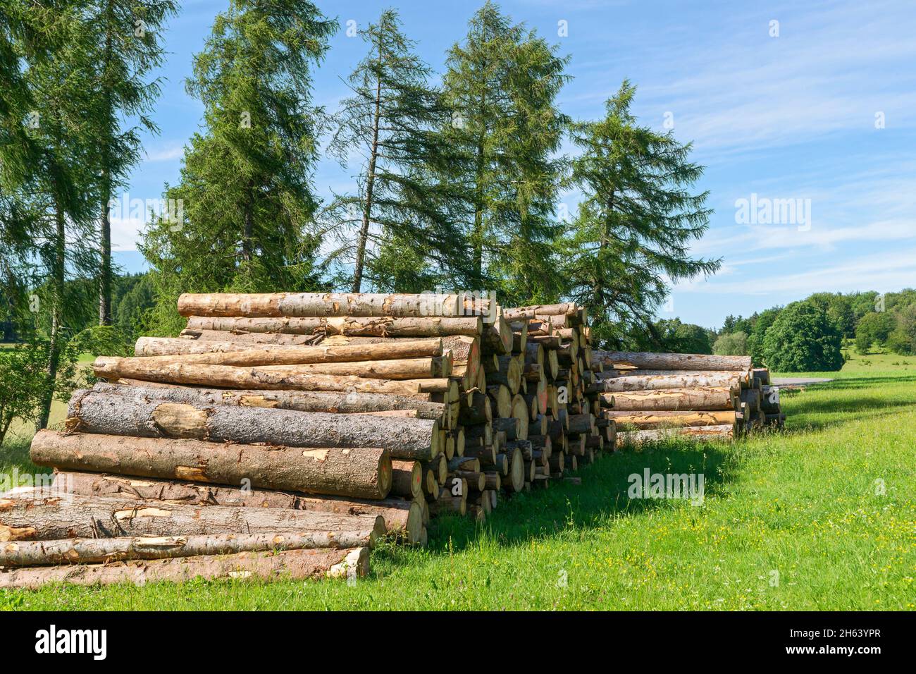 Stacking tree hi-res stock photography and images - Alamy