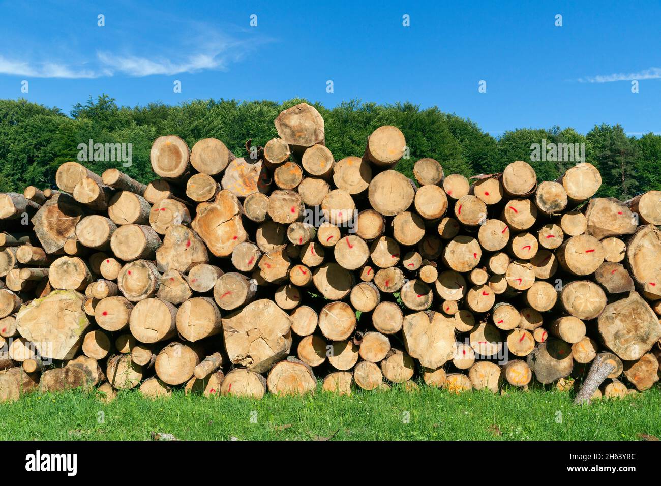 Forestry campsite hi-res stock photography and images - Alamy