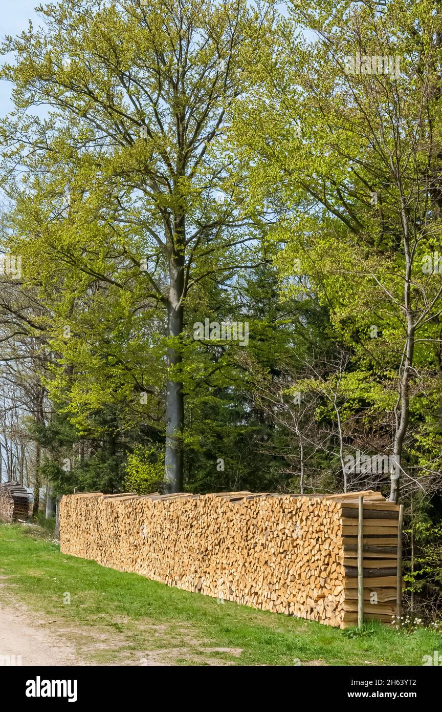 germany,baden-wuerttemberg,durbach,pile of wood,firewood,timber,heating ...