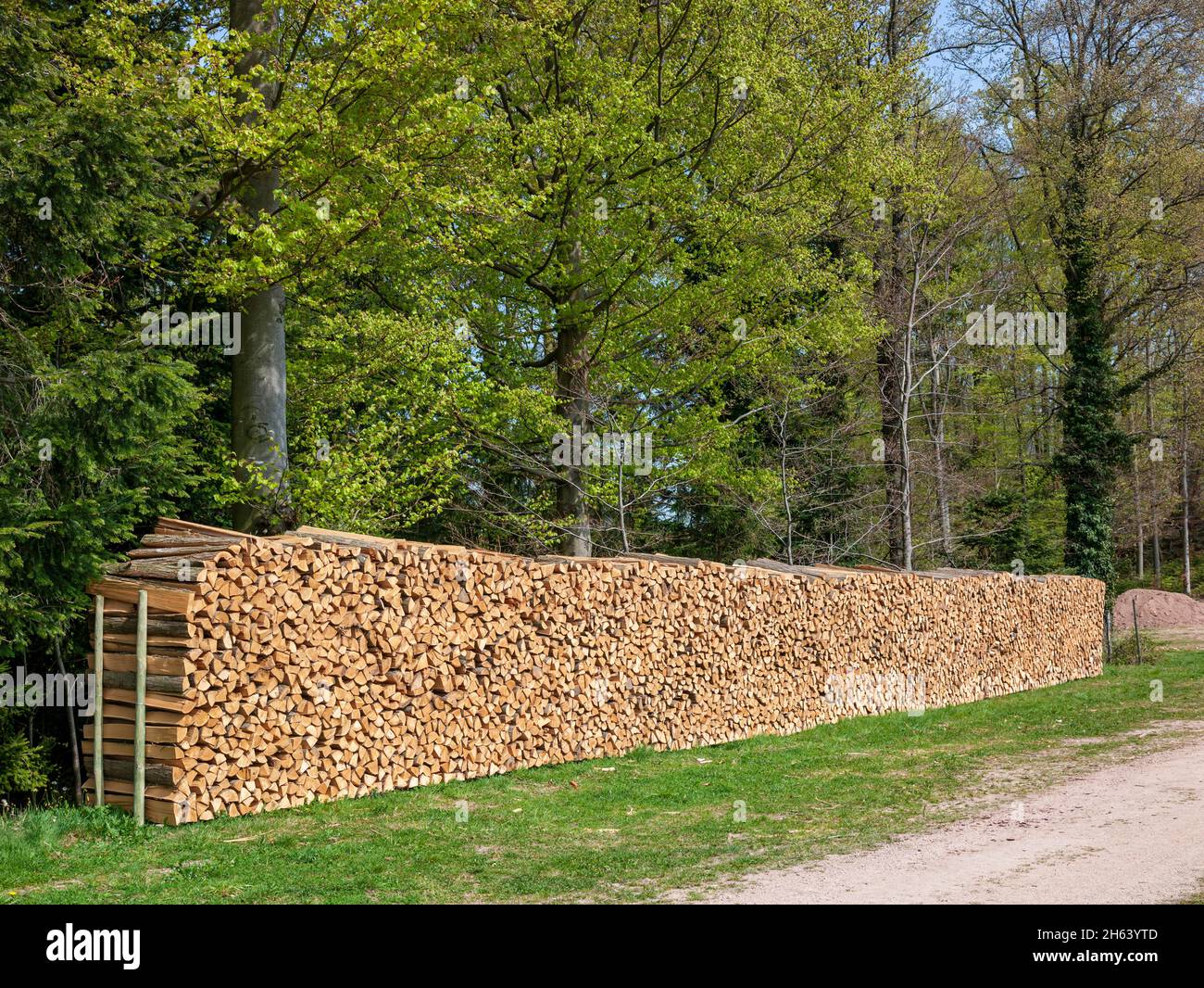 Firewood for heating hi-res stock photography and images - Alamy