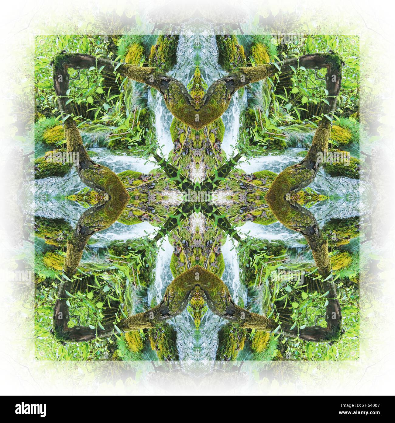 Brook live Cut Out Stock Images & Pictures - Alamy