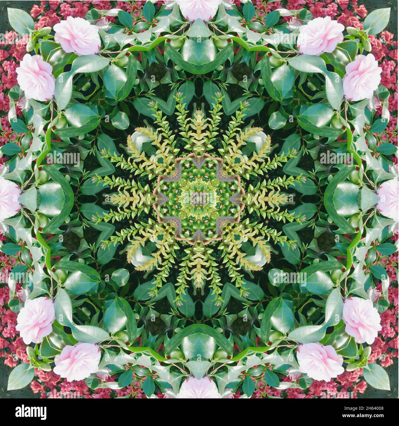 Ornamental mandala hi-res stock photography and images - Alamy