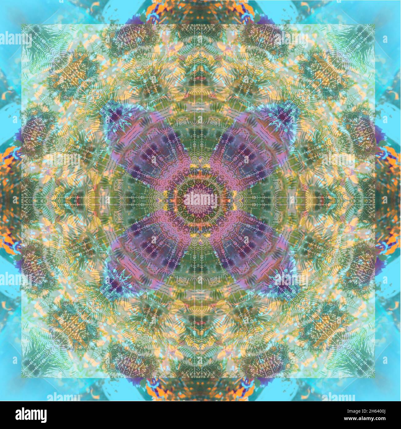 Mandala of plants hi-res stock photography and images - Alamy