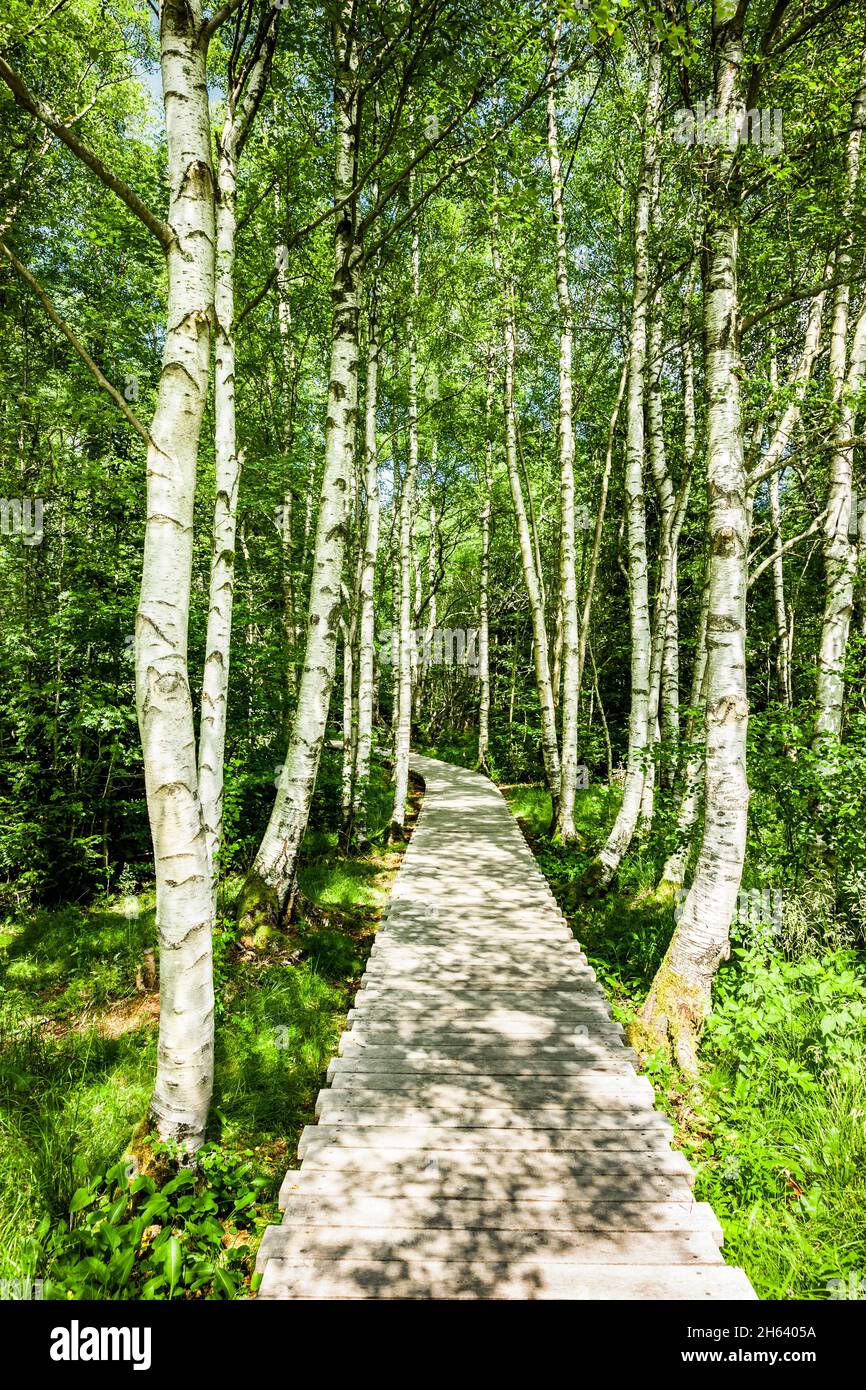 Path through marshland hi-res stock photography and images - Alamy