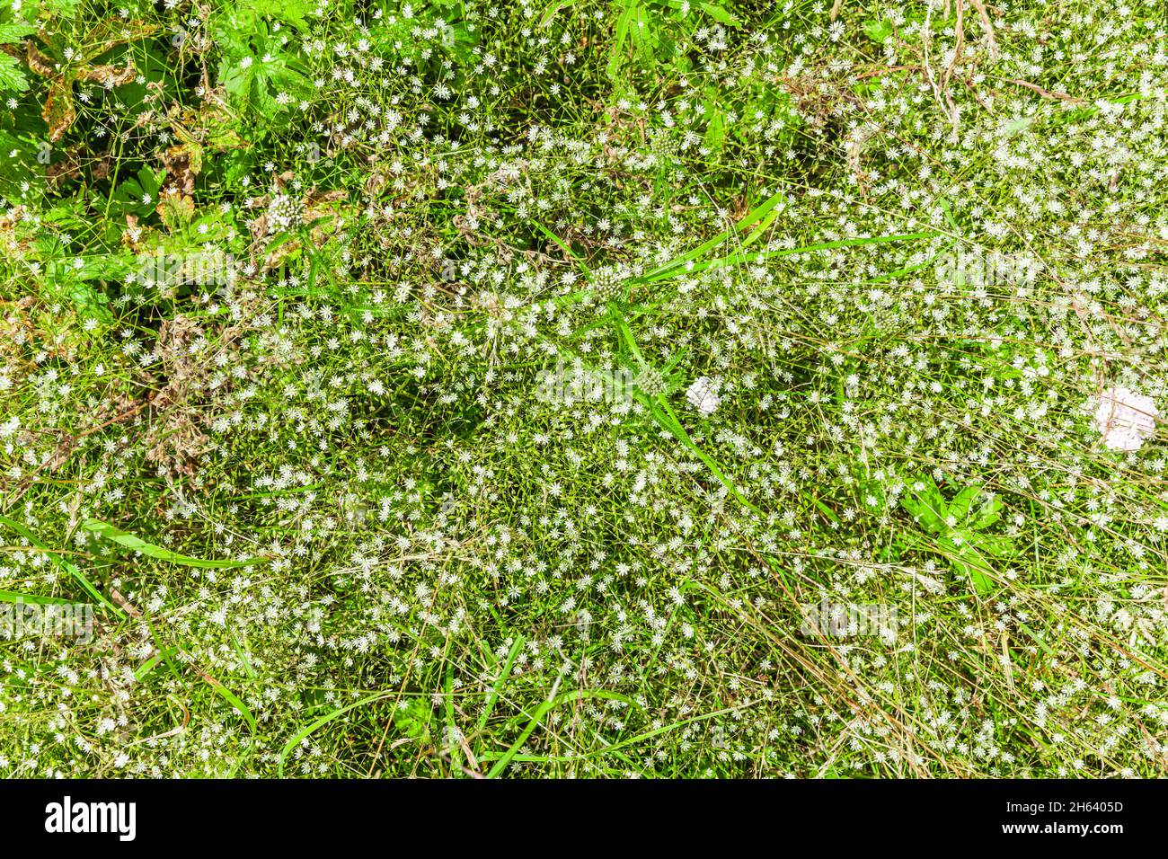 Hunger mountain hi-res stock photography and images - Alamy