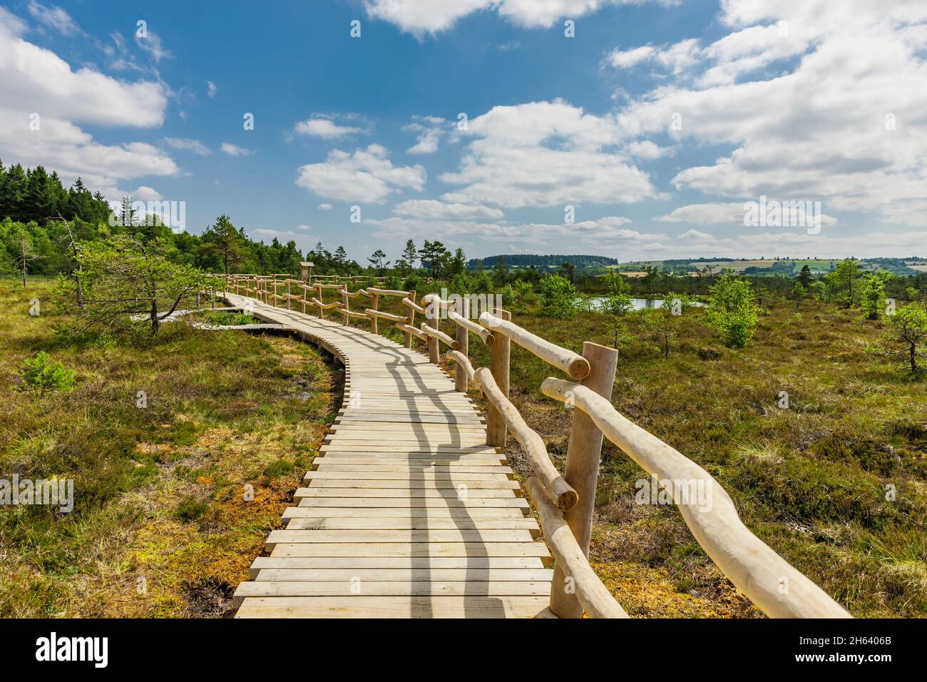 Black moor hi-res stock photography and images - Alamy