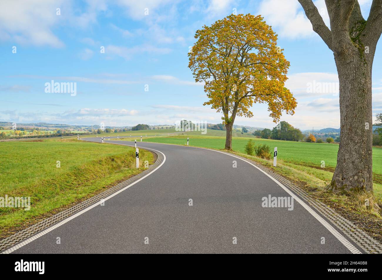 Country road and tree hi-res stock photography and images - Alamy