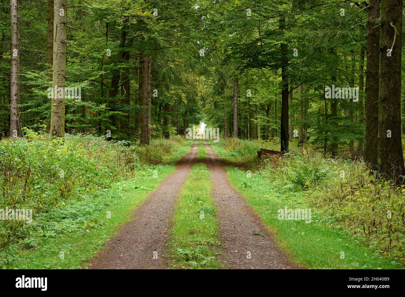 Schotten hi-res stock photography and images - Alamy