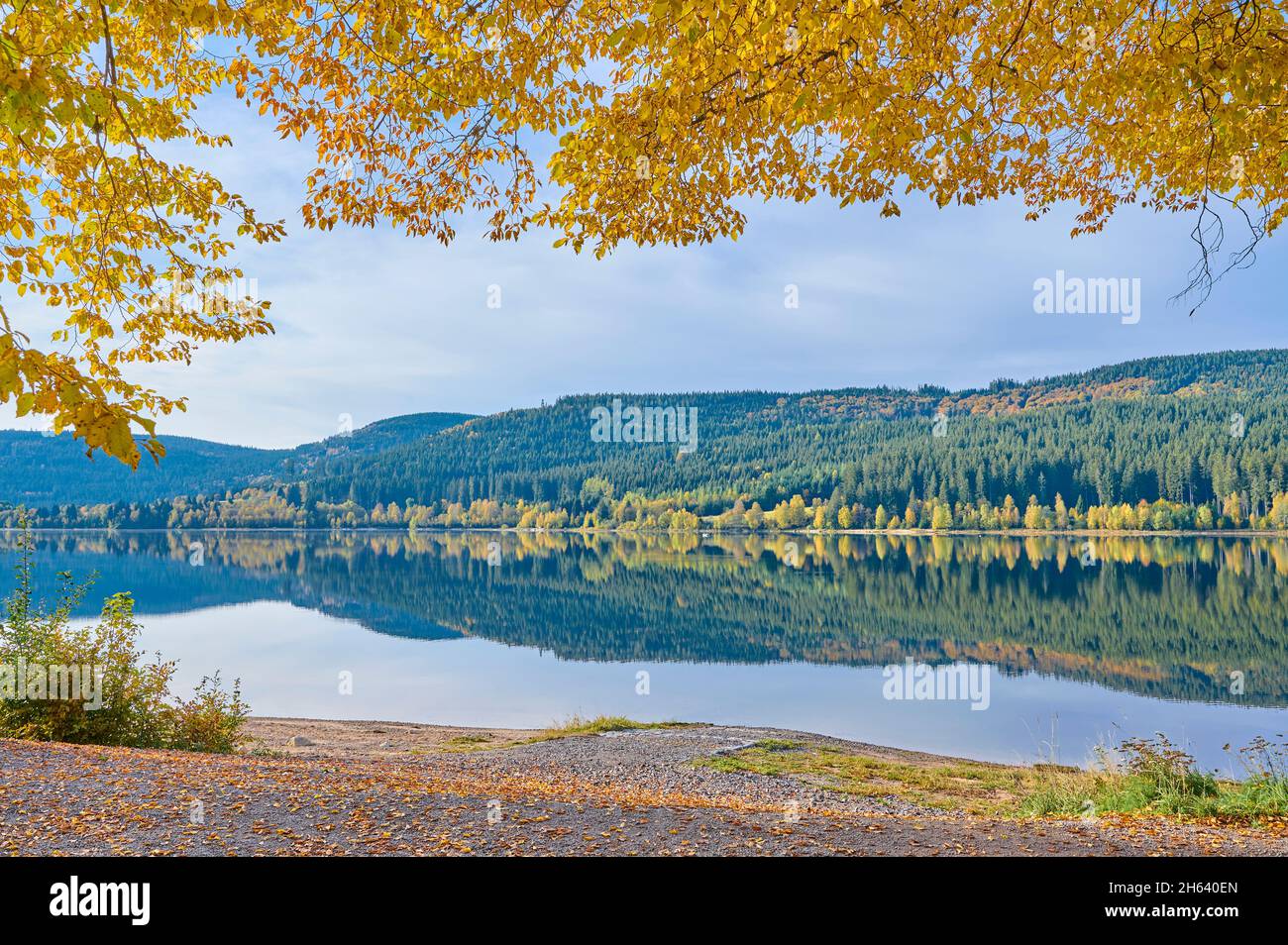 Lake morning autumn schluchsee hi-res stock photography and images - Alamy