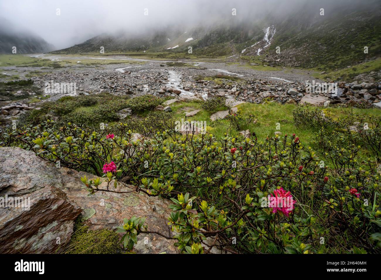 Sulzenaualm hi-res stock photography and images - Alamy