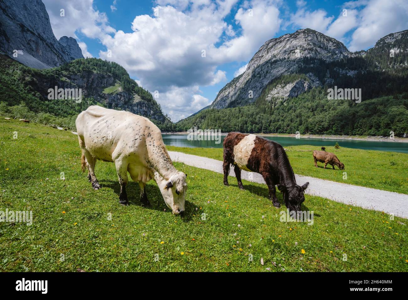 Gosau valley hi-res stock photography and images - Alamy