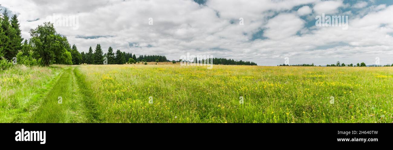 hiking trail through meadow landscape in the rhön Stock Photo - Alamy