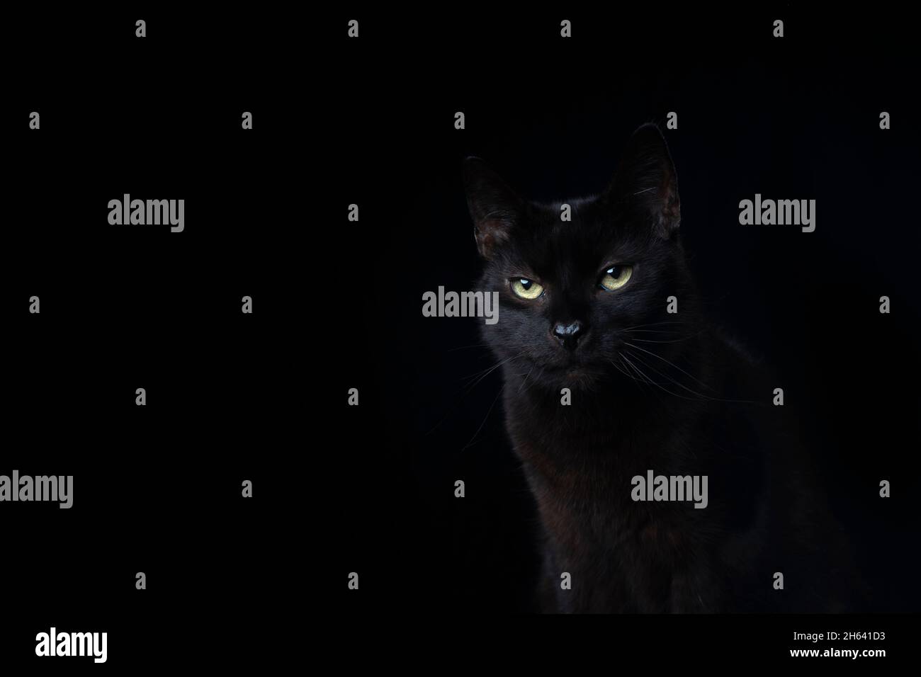 Lens flare on black hi-res stock photography and images - Alamy