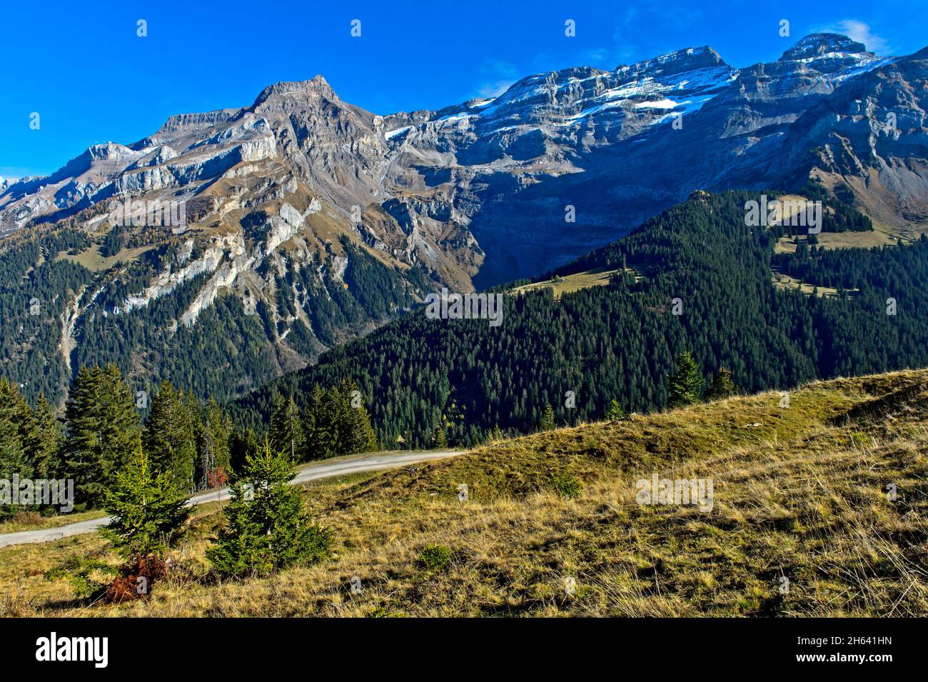Les diablerets hi-res stock photography and images - Alamy