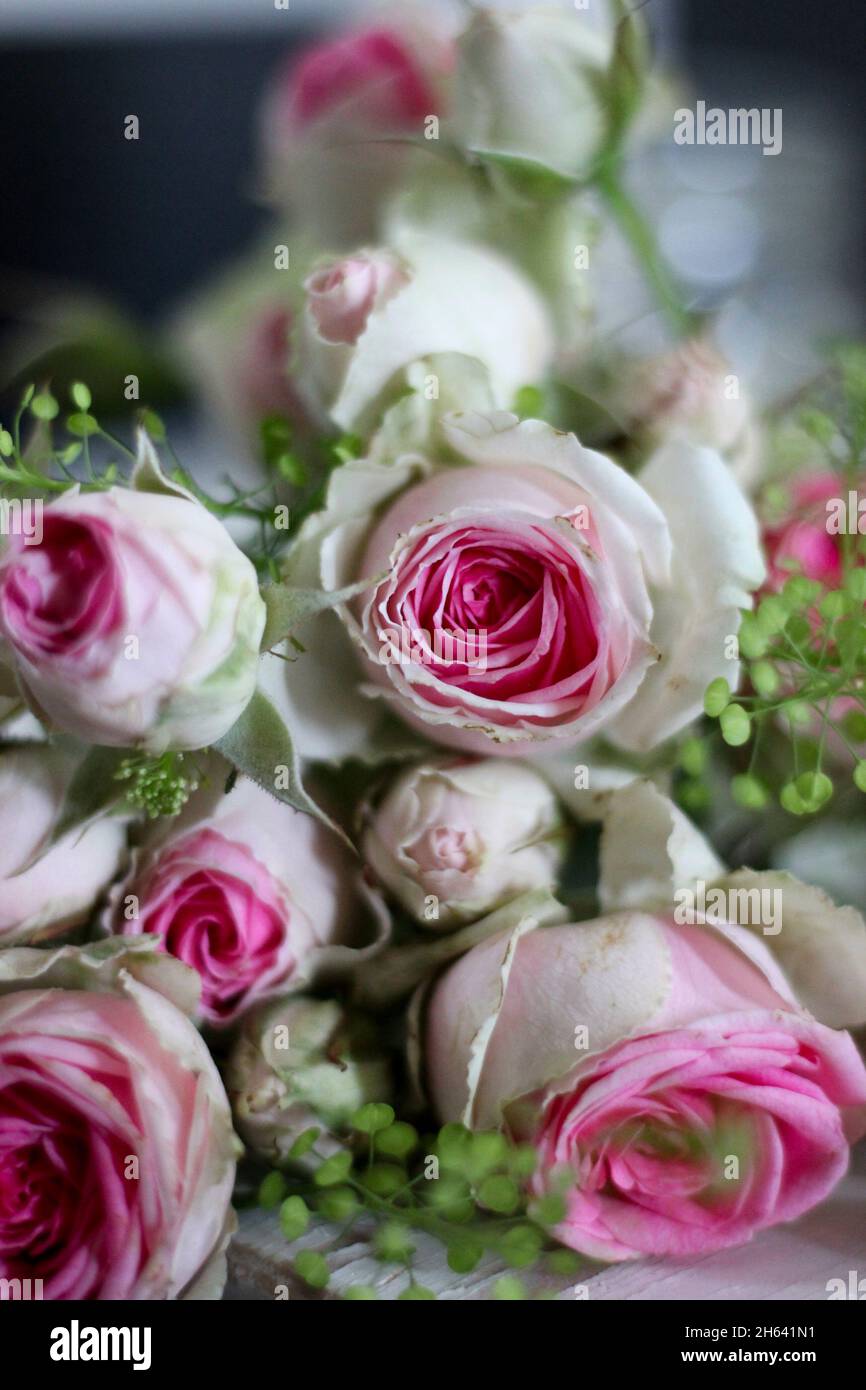 Small presents hi-res stock photography and images - Alamy