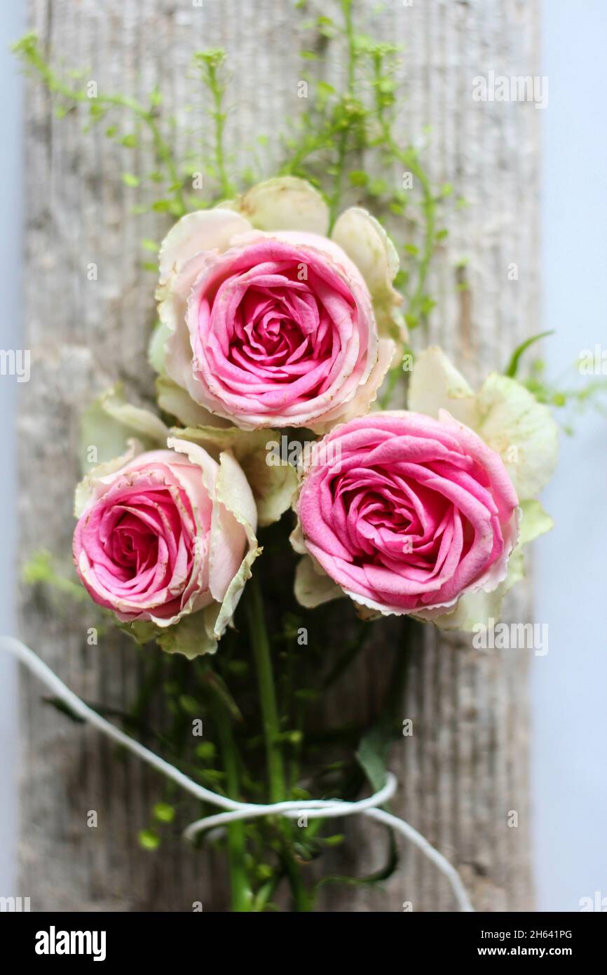 Bouquet of little roses hi-res stock photography and images - Alamy