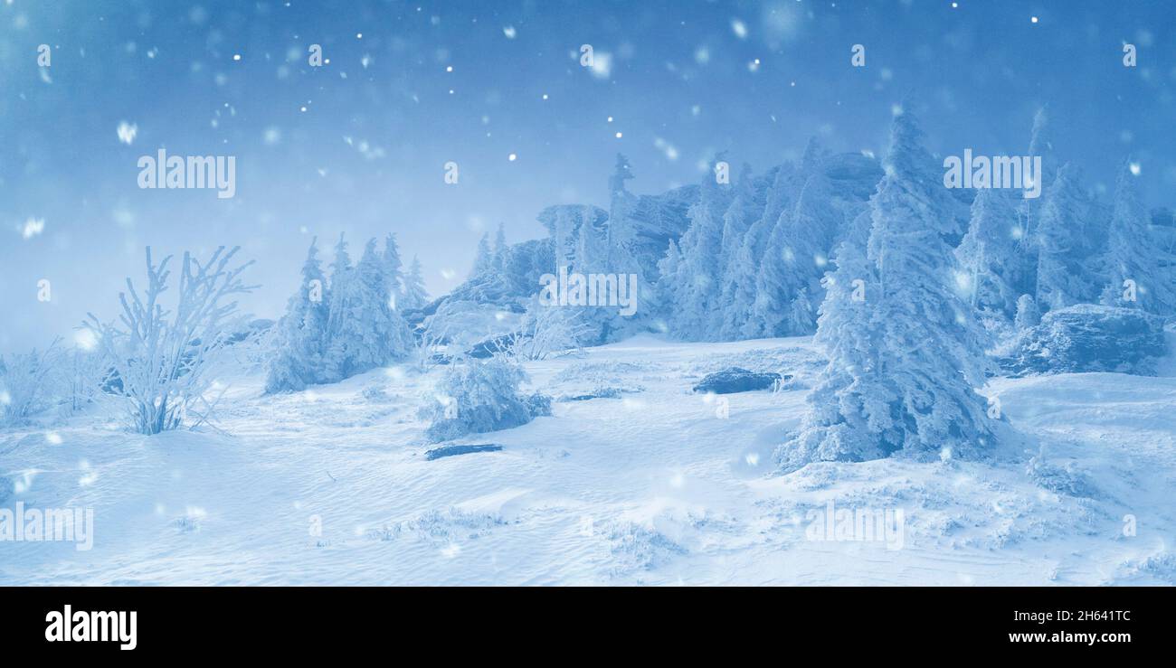 Frosty foreground hi-res stock photography and images - Alamy