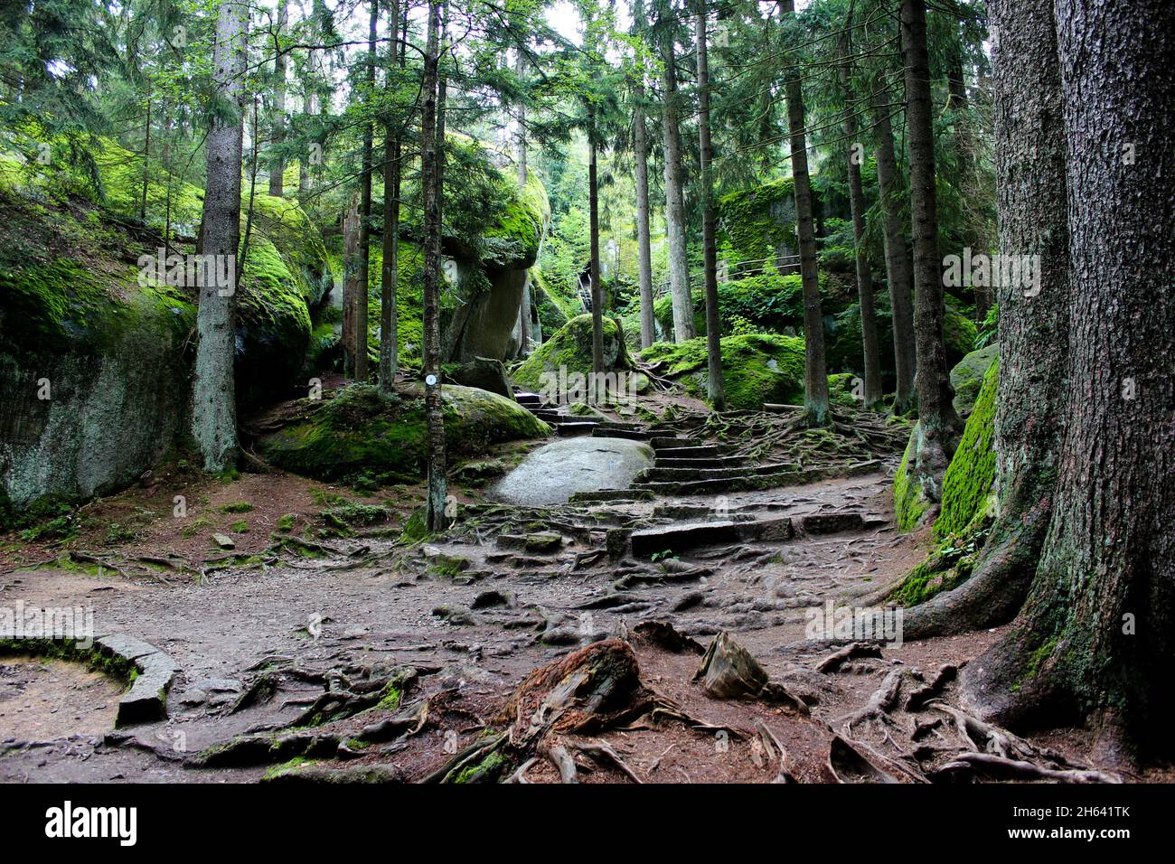 Geotope luisenburg rock labyrinth hi-res stock photography and images ...
