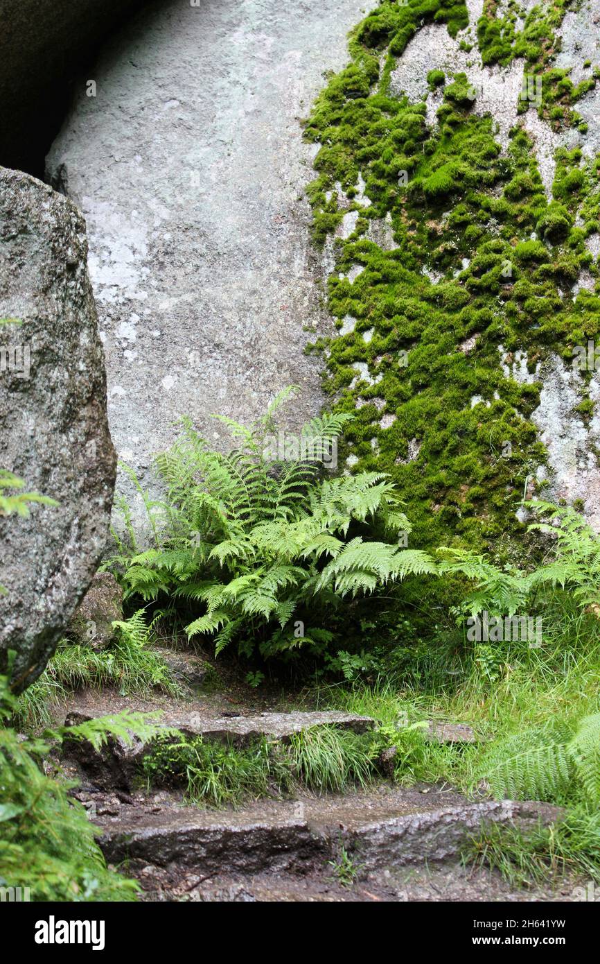 Geotope luisenburg rock labyrinth hi-res stock photography and images ...