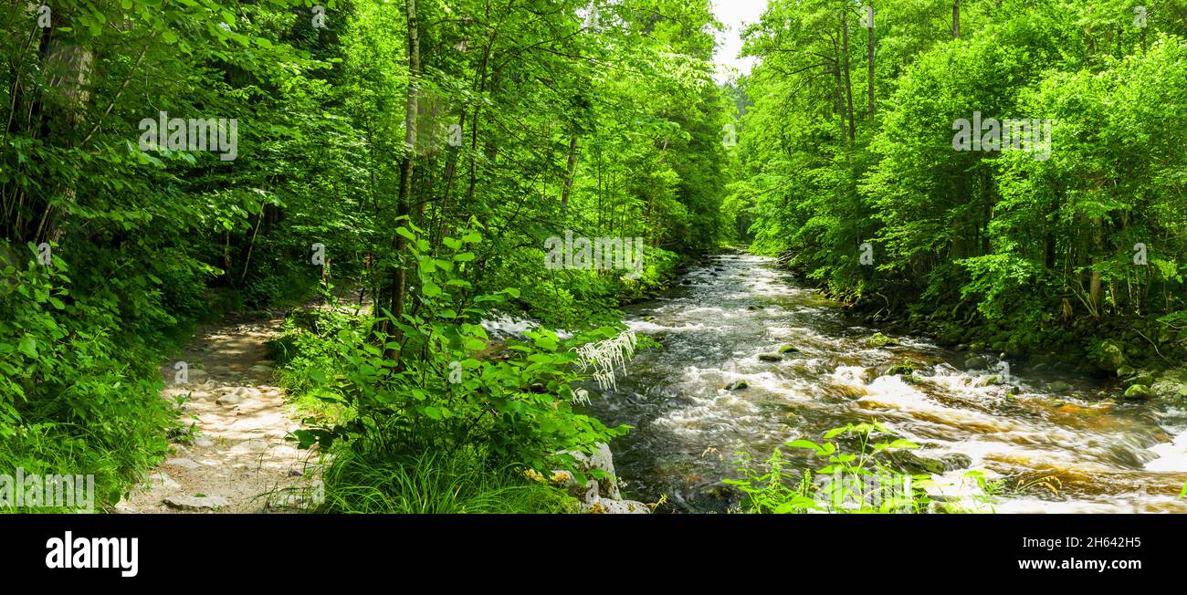 Pathway on river hi-res stock photography and images - Alamy
