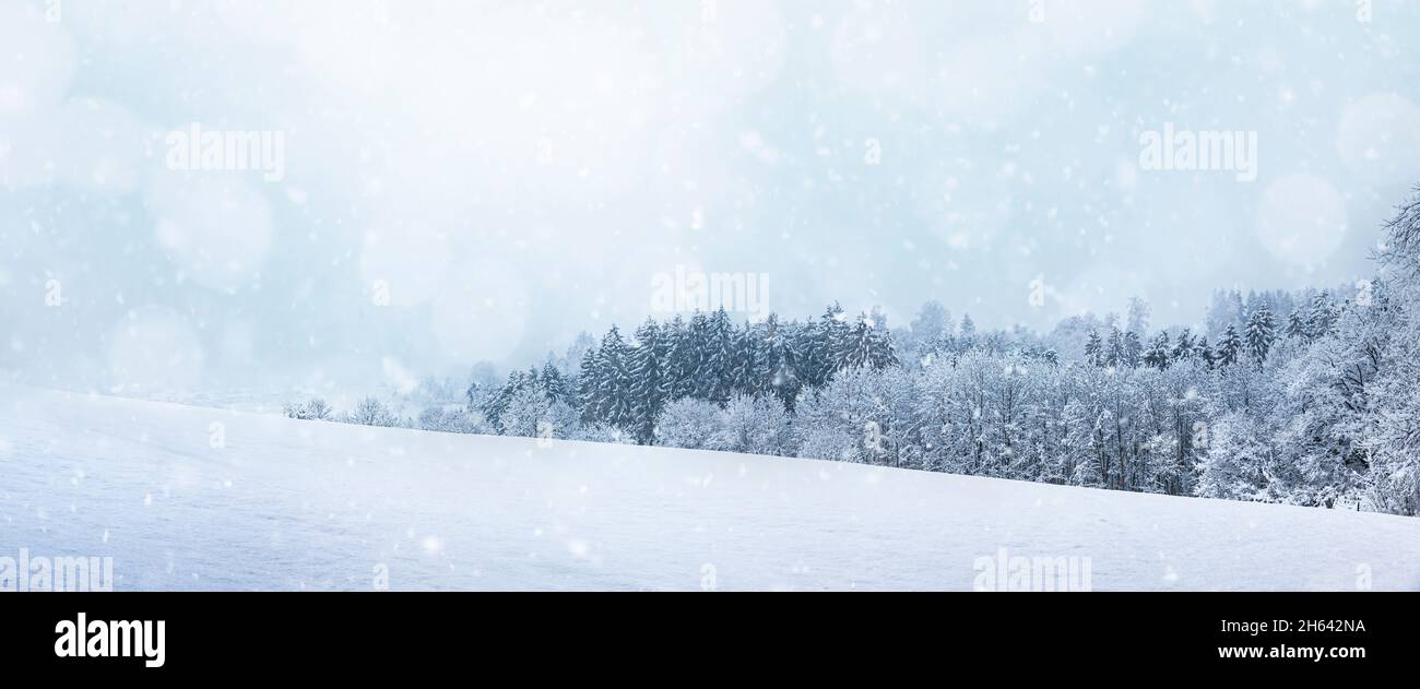 Wonderful woods hi-res stock photography and images - Alamy