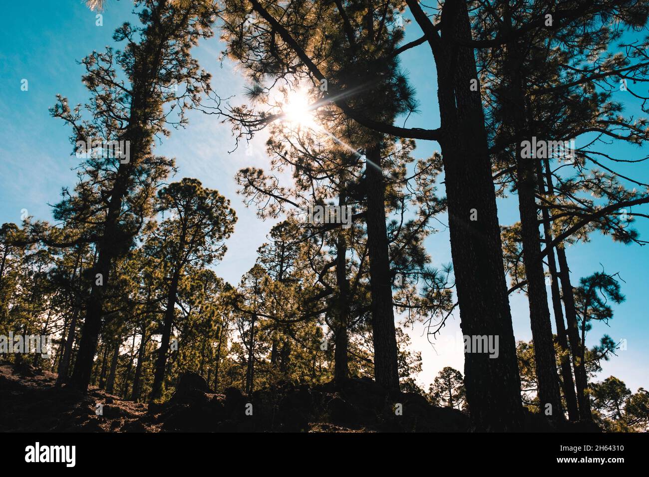 Beautiful nature outdoors hi-res stock photography and images - Alamy