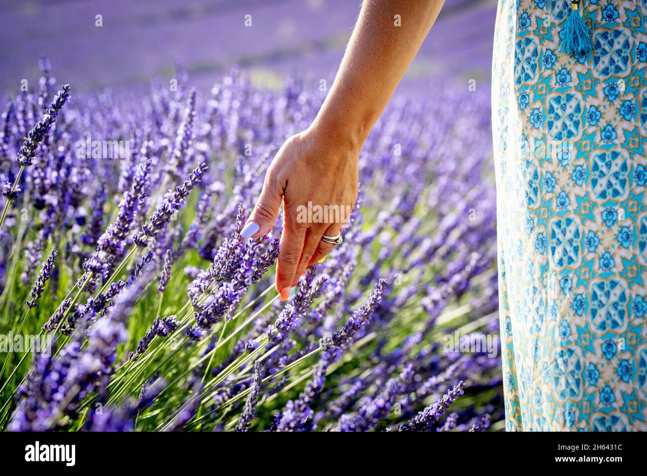 Woman hand touching flowers hi-res stock photography and images - Alamy