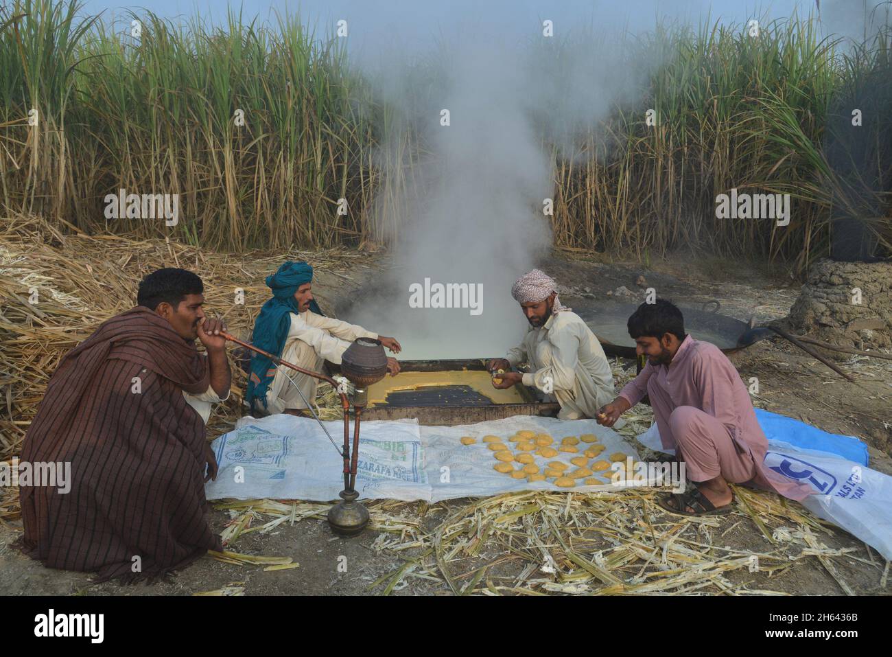 Lahore, Pakistan. 11th Nov, 2021. Pakistani farmers are busy in making ...