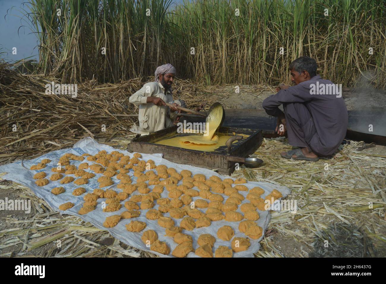 Lahore, Pakistan. 11th Nov, 2021. Pakistani farmers are busy in making ...