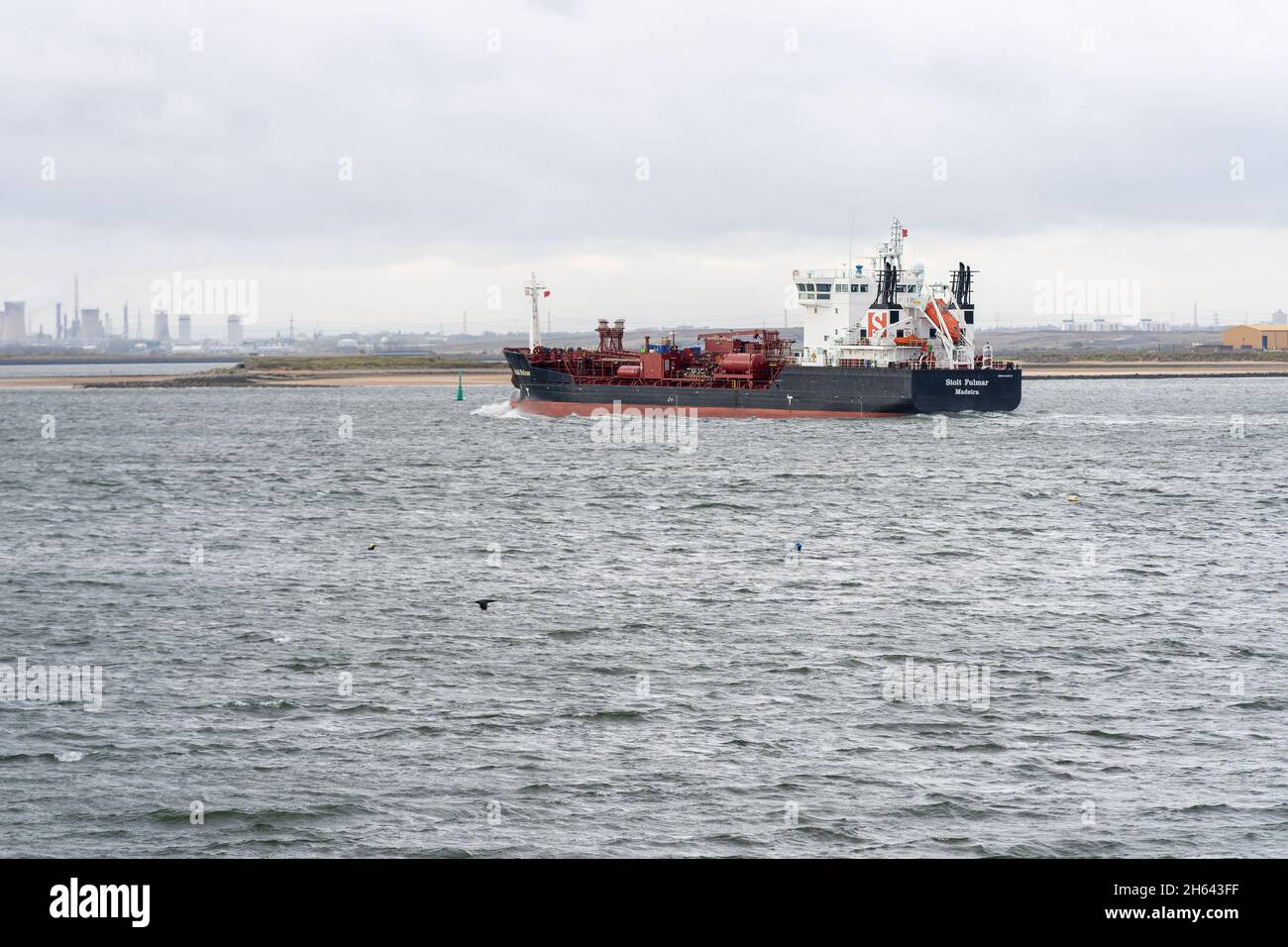 Fulmar oil hi-res stock photography and images - Alamy