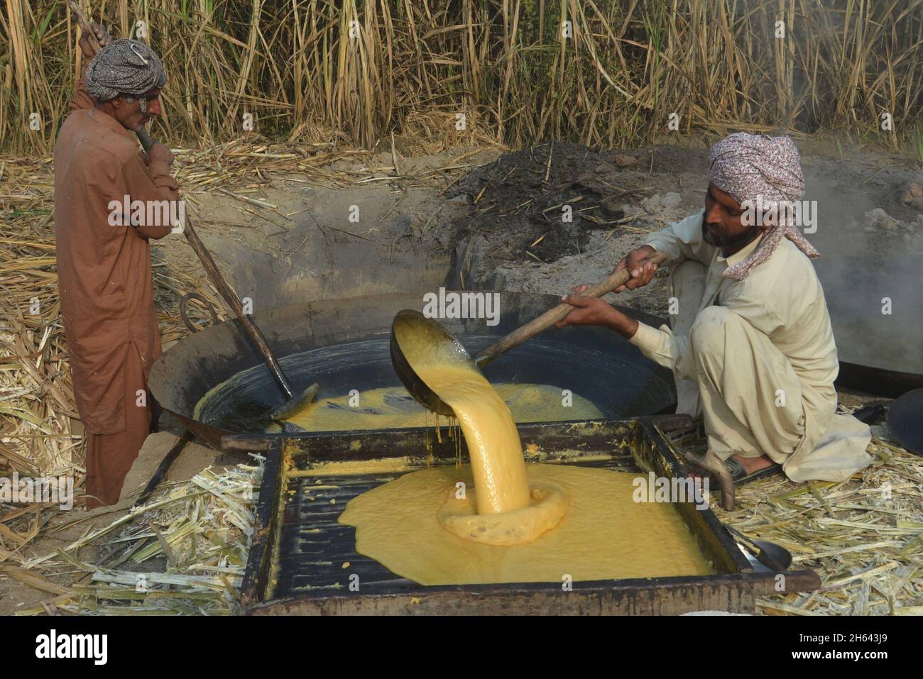 Lahore, Punjab, Pakistan. 11th Nov, 2021. Pakistani farmers are busy in ...