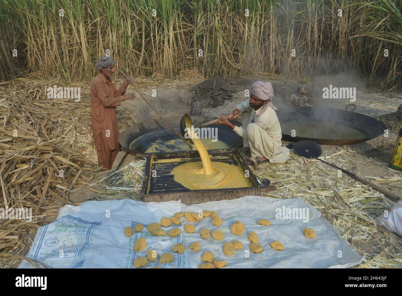 Lahore, Punjab, Pakistan. 11th Nov, 2021. Pakistani farmers are busy in ...