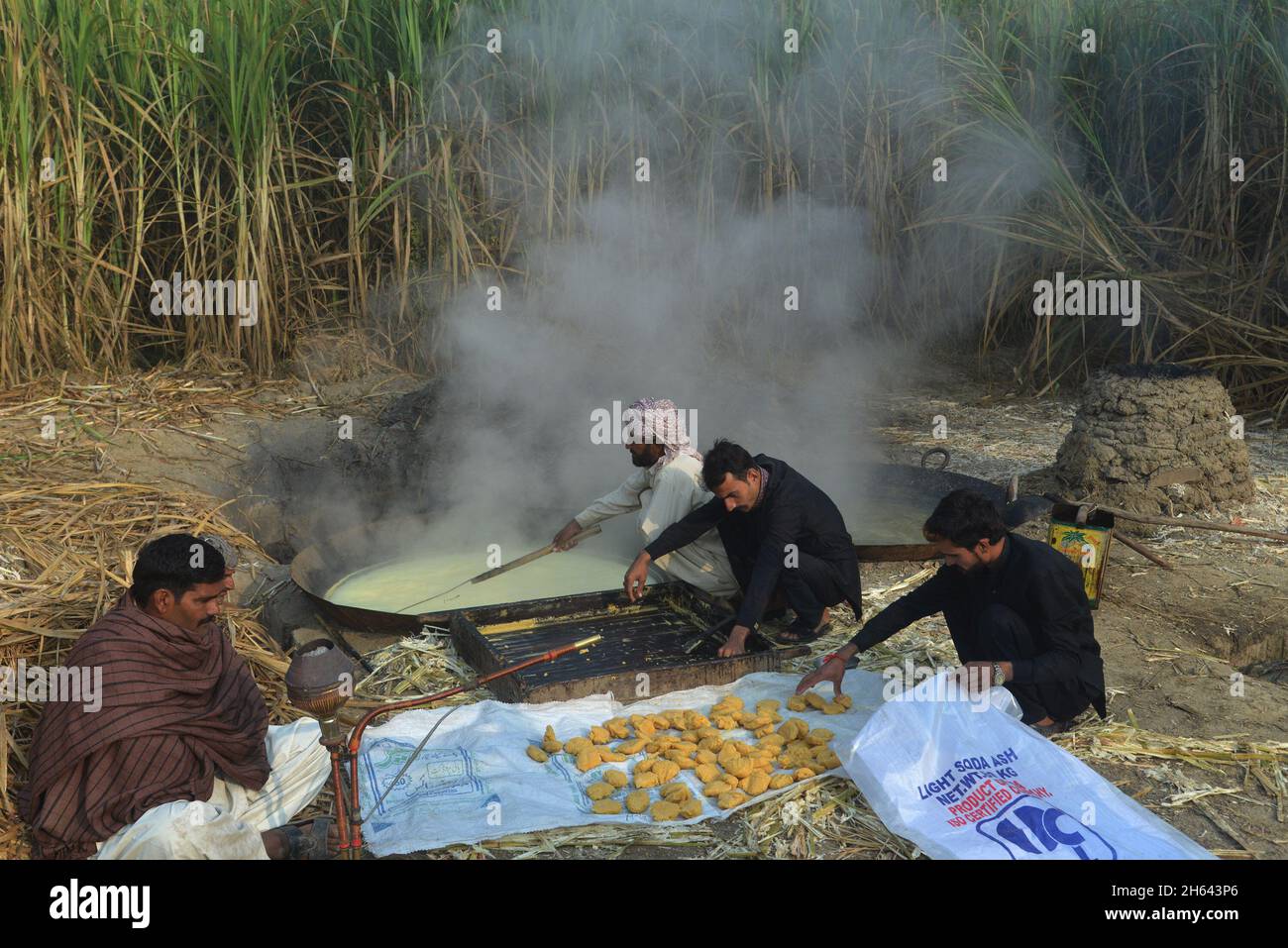 Lahore, Punjab, Pakistan. 11th Nov, 2021. Pakistani farmers are busy in ...